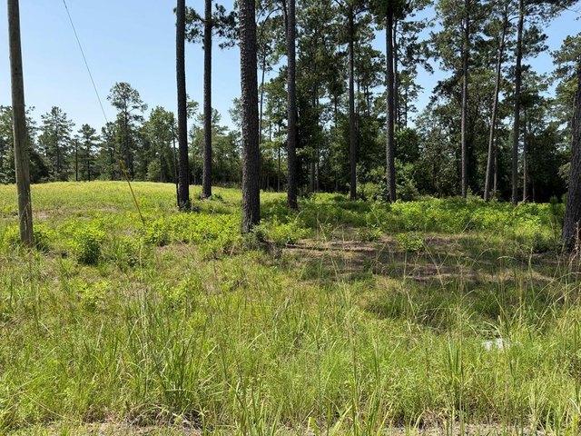 Private 6028 Rd Lot 2, Brookeland, TX 75931
