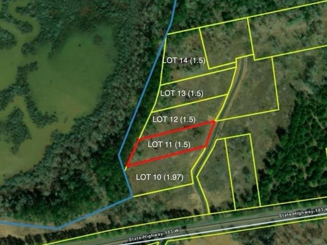 Private 7700 Rd Lot 11, San Augustine, TX 75972