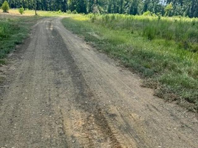 Private 7700 Rd Lot 13, San Augustine, TX 75972