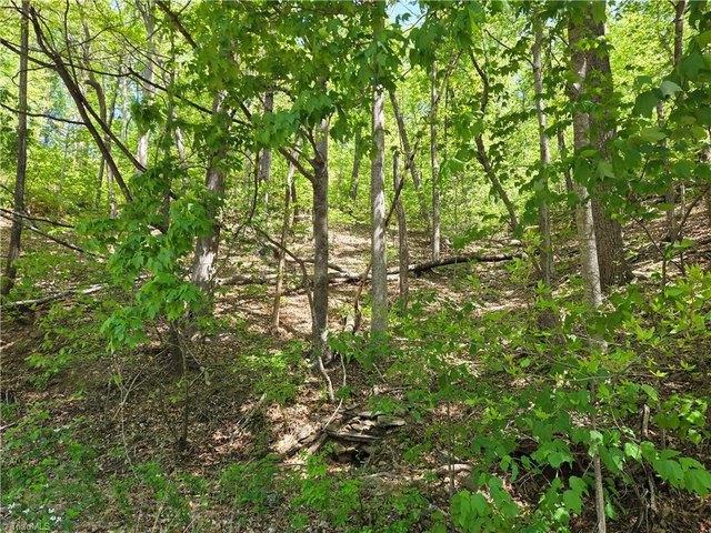 Price Rd, Moravian Falls, NC 28654
