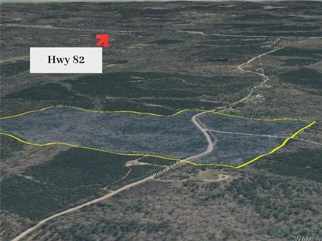 Price Rd, Reform, AL 35481