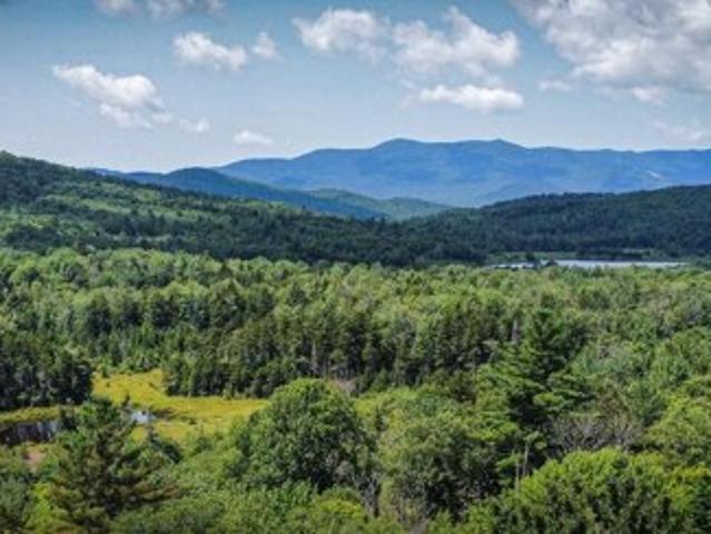 Prickly Mountain Rd, Warren, Plot For Sale