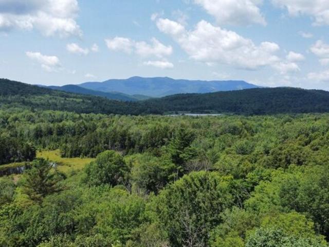 Prickly Mountain Rd, Warren, Plot For Sale