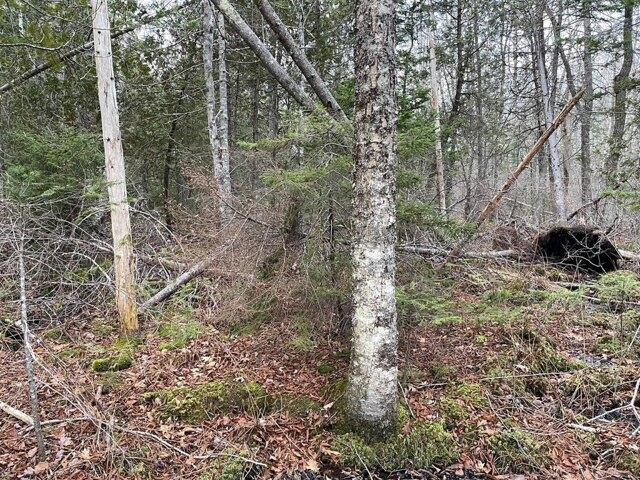 Priest Rd, Northport, Plot For Sale