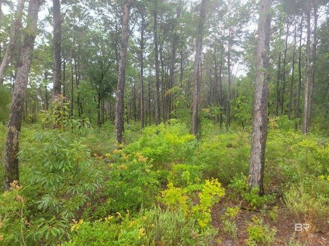 Primrose Ln, Gulf Shores, AL 36542