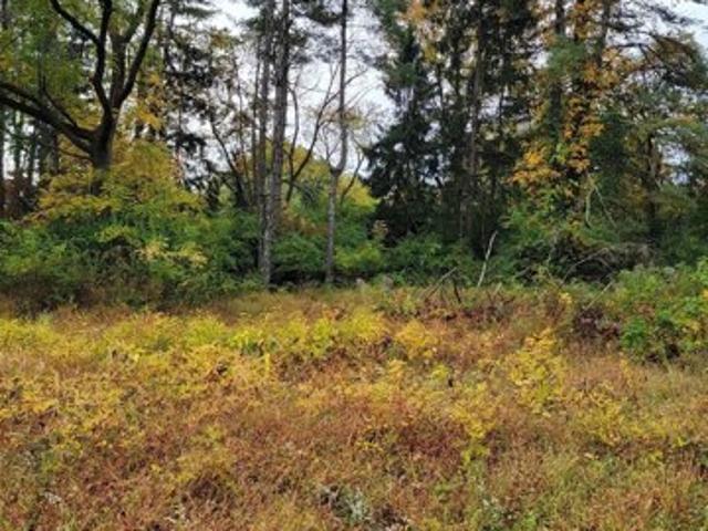Princeton Kingston Rd, Princeton, Plot For Sale