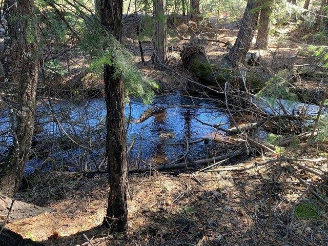 Princess Pine Pl Lot 34, Shingletown, CA 96088