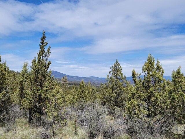 Prineville OR 97754 LS97037399