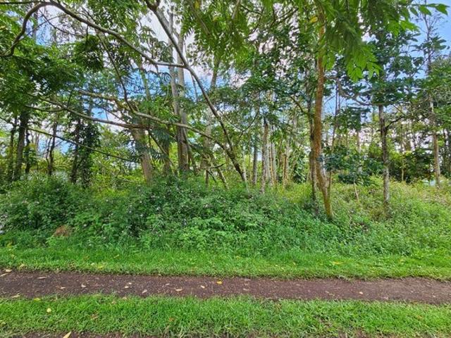 Priscilla Rd, Pahoa, HI 96778