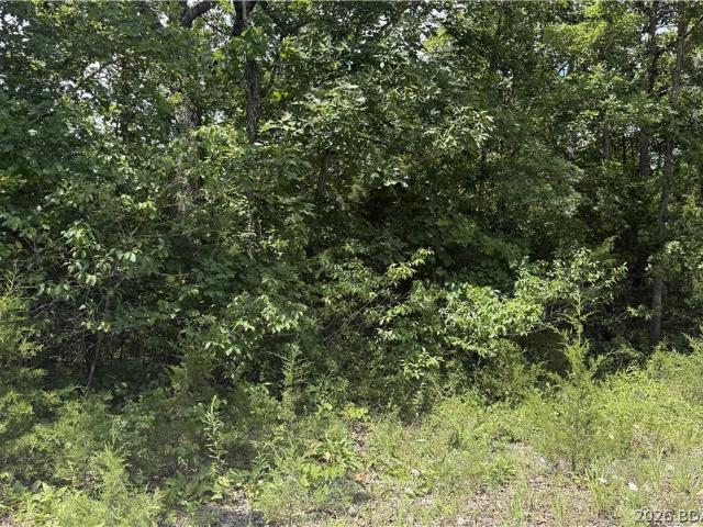 PRT TR 19 2 Lots Stoney Oak Drive