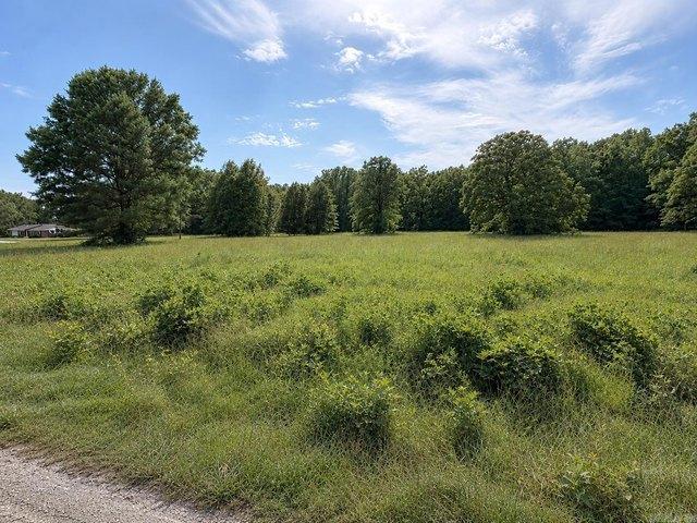Pruett Cutoff, Conway, AR 72032