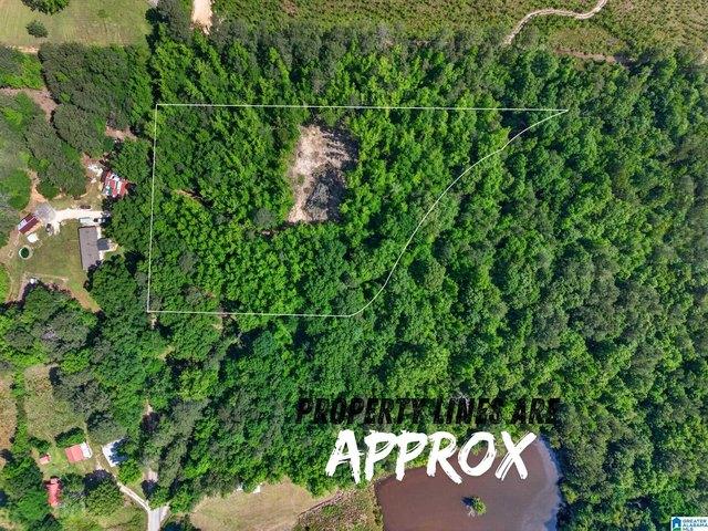 Pruitt Rd Lot 0, Piedmont, AL 36272