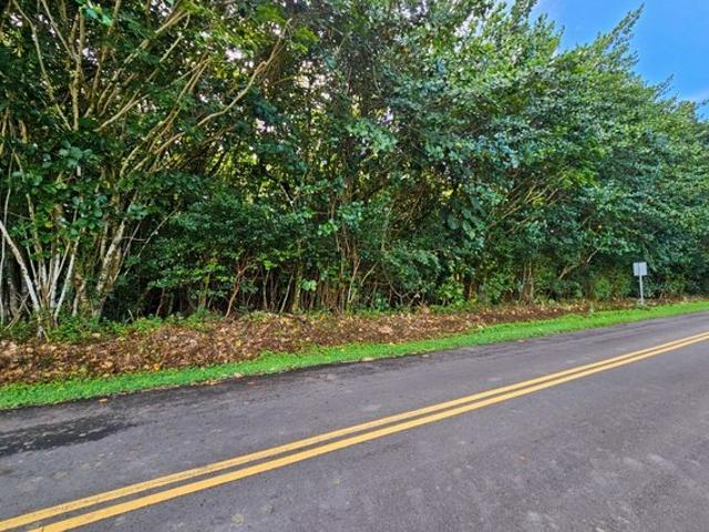Puna Pkwy, Pahoa, HI 96778
