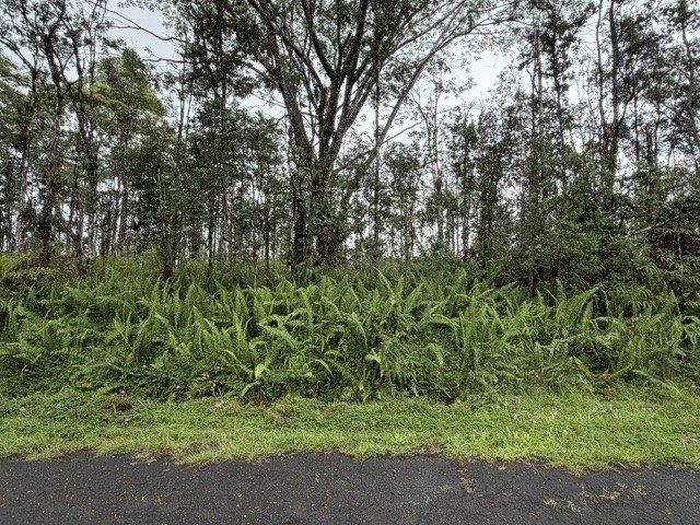 Puna Rd, Pahoa, HI 96778