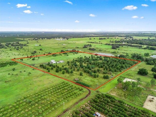 Punkin Center Rd, Leesburg, FL 34748
