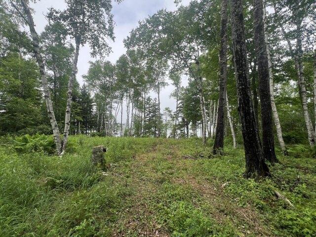 Puffins Ln Lot,machiasport, Plot For Sale