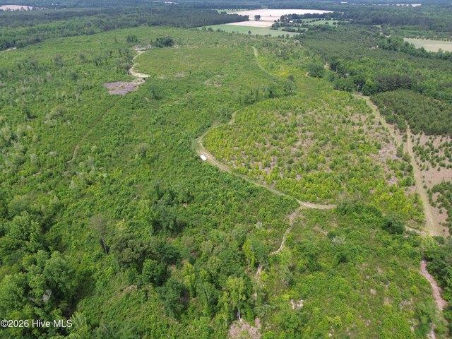 Pughsley Rd, Stapleton, GA 30823