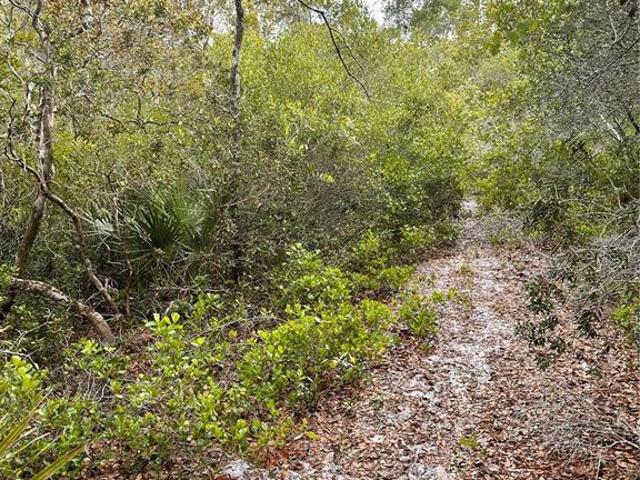 Purcell paper St, Lake Helen, FL 32744 | MLS #O6304