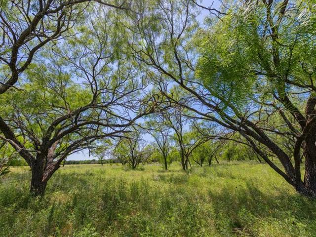 Purmela, TX 76566