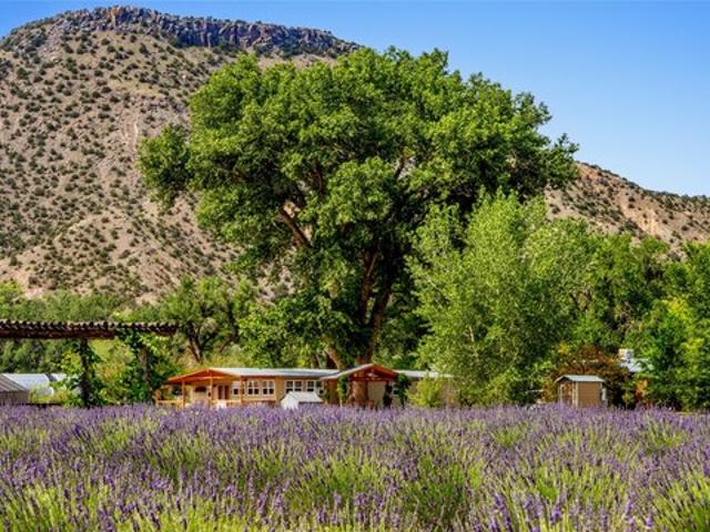 Purple Adobe Lavender Farm Private 1622 Dr # 25, Abiquiu, NM 87510