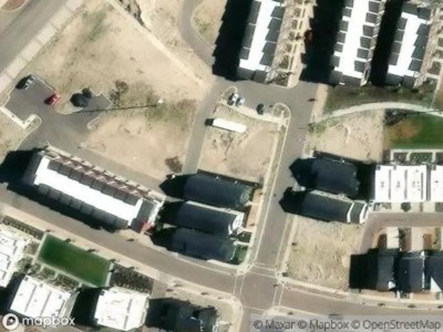 Purple Poppy Ln