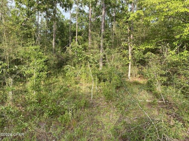 Putnam Ave Lot 30, Alford, FL 32420