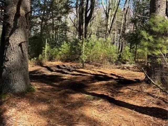 Putnam Pike, Glocester, Plot For Sale