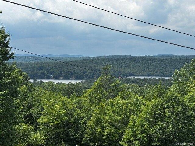 Putnam Valley NY 10579 103602591