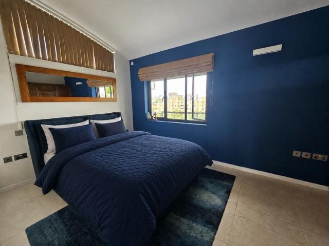 Putney Penthouse 10 weeks max