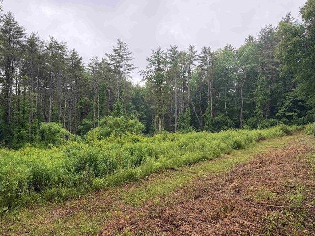 Putney VT 05346 104008565