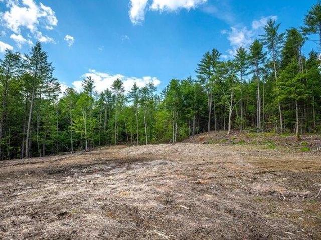 Putney VT 05346 104849387
