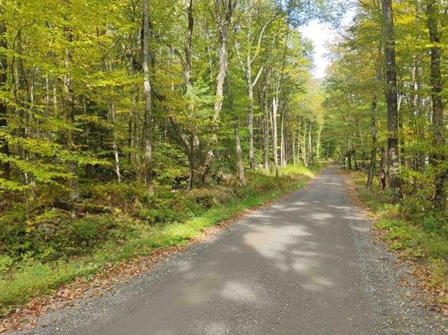 Putney VT 05346 102064533