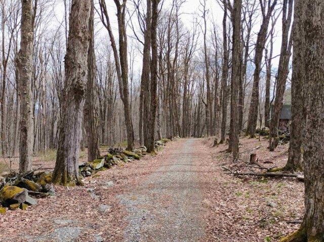 Putney VT 05346 LS101658021