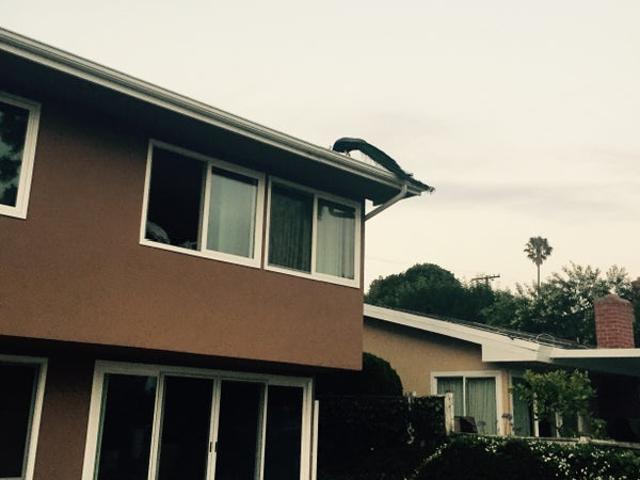 PV nice room for rent