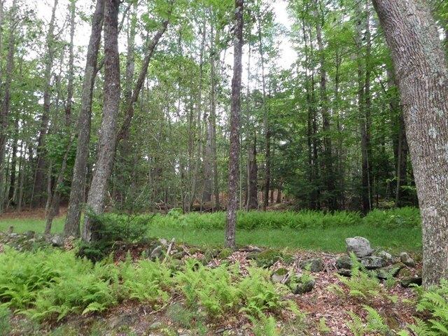 Pynchon Rd, Chesterfield, Plot For Sale