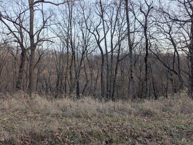 Pyramid Ln Lot 26, Holiday Island, AR 72631