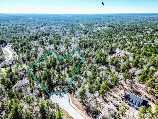 Pyrite Ct Lot 42, Huntsville, TX 77340