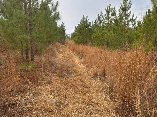 QBF 9 Quattlebaum Road