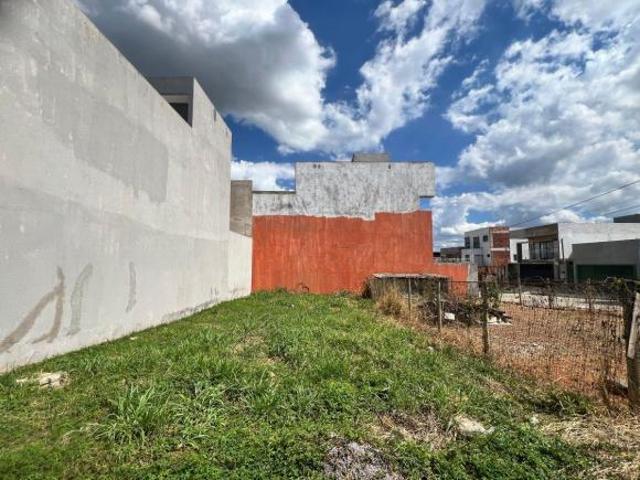 QE 50 MELHOR LOCALIZAÇÃO DO GUARÁ
