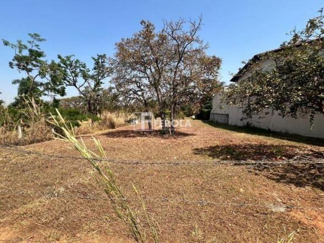 QI 28 do Lago Sul, amplo lote no meio da quadra, nascente