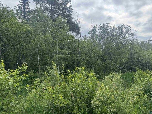 Quaal Rd, Forbes, MN 55738