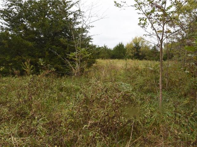 Quail Rd Road