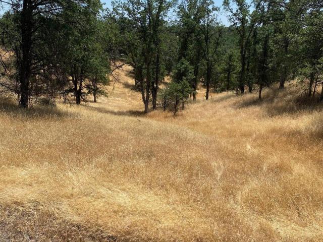 Quail Ridge Rd, Cottonwood, CA 96022 | MLS #25 2827