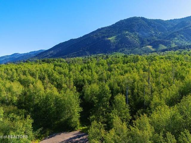 Quaking Aspen Way Lot 25, Etna, WY 83118