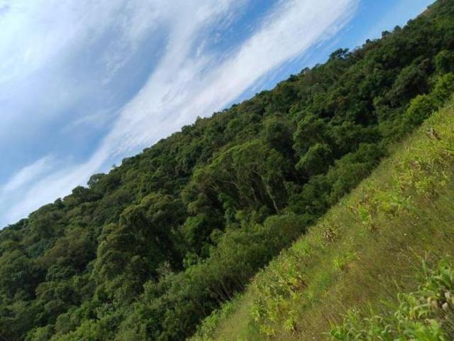 Qualidade de Vida e Tranquilidade – Terreno em Ibiúna