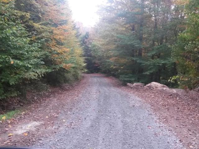 Quarry Road
