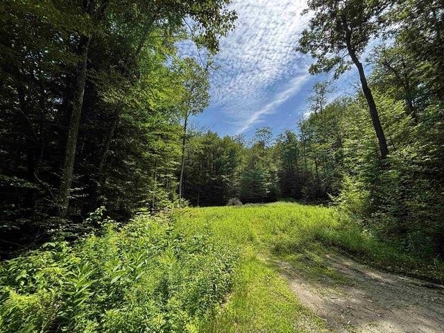 Quarry Rd, Chester, VT 01543