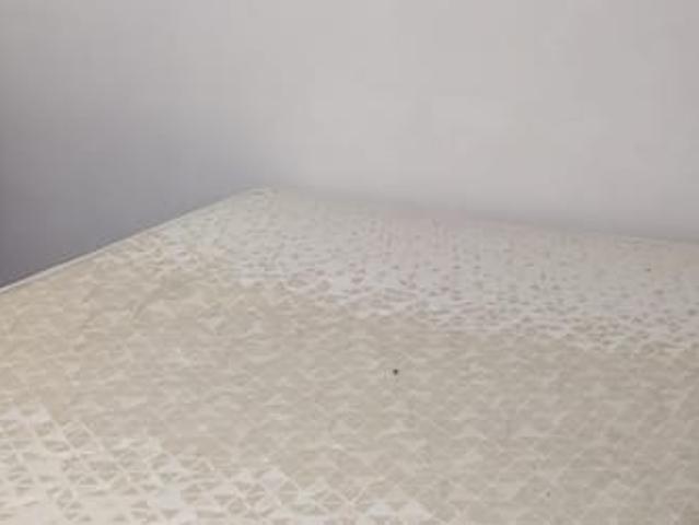 QUARTO GRANDE INDIVIDUAL NO BAIRRO FUNCIONÁRIOS
