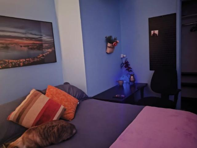 Quarto Individual aconchegante