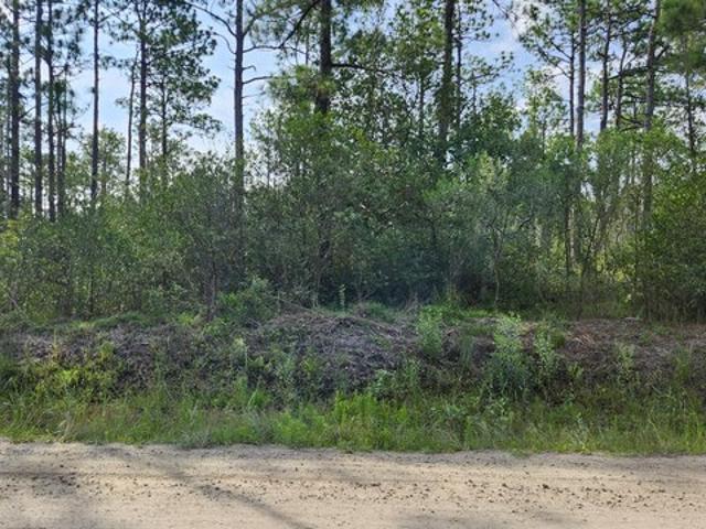 Queens Rd Lot 453, Southport, NC 28461